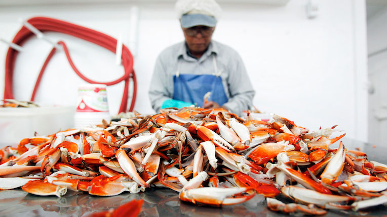 National Commission on the BP Deepwater Horizon Oil Spill and Offshore ...